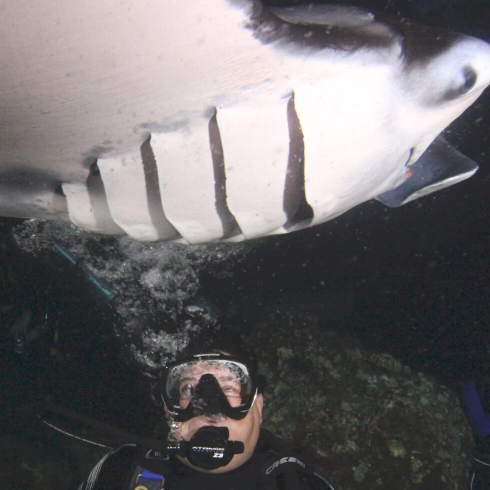 Manta Ray Night Snorkel Kona, Hawaii - Swim with Manta Rays