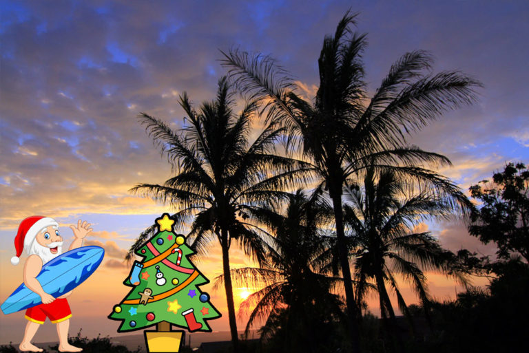How do we celebrate Christmas in Hawaii? - Manta Ray Advocates Hawaii