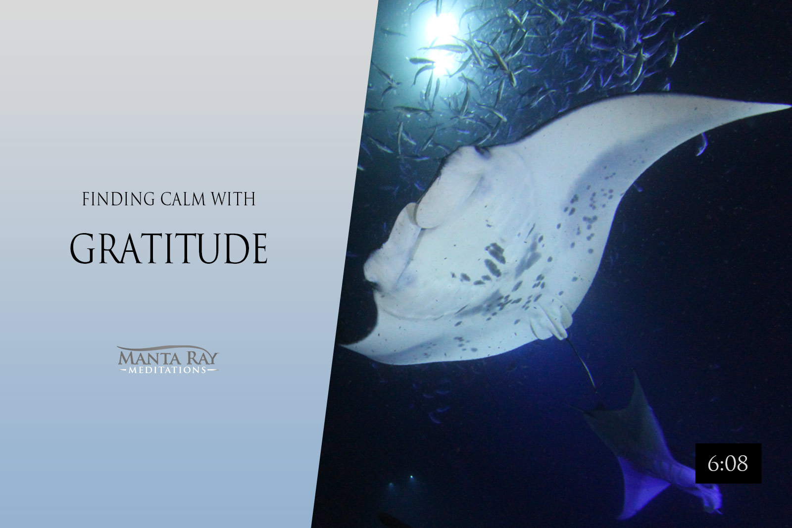 Manta Ray Meditations - Manta Ray Advocates Hawaii