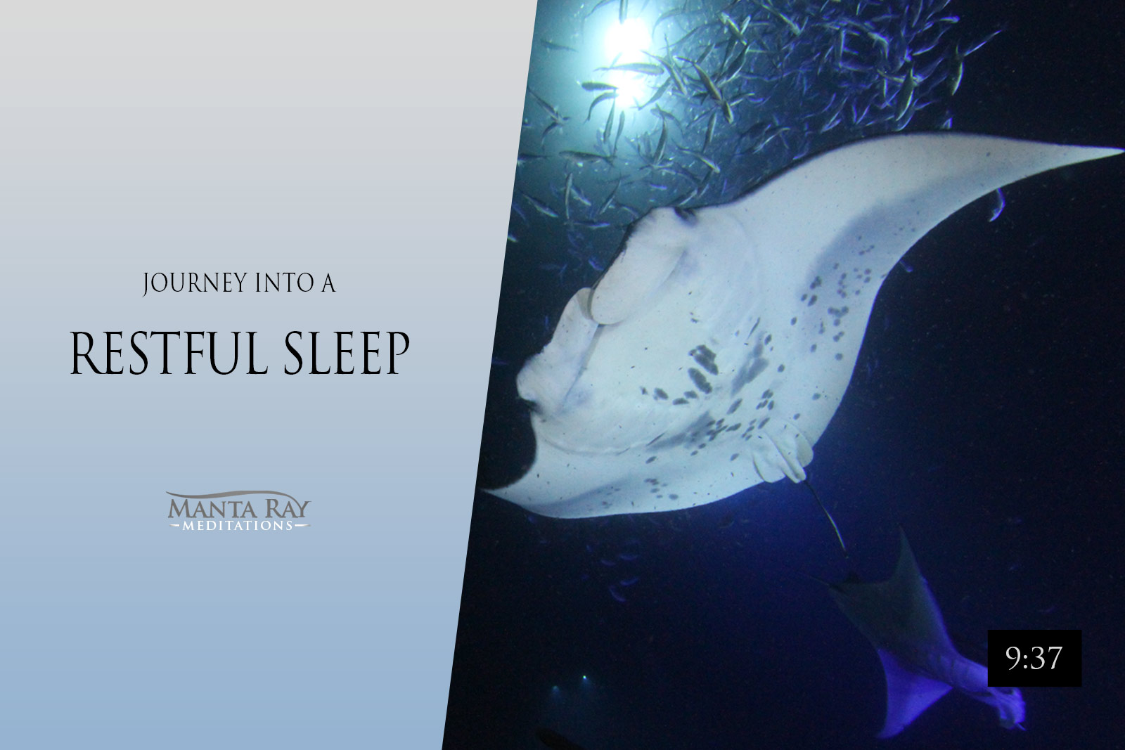 Manta Ray Meditations - Manta Ray Advocates Hawaii