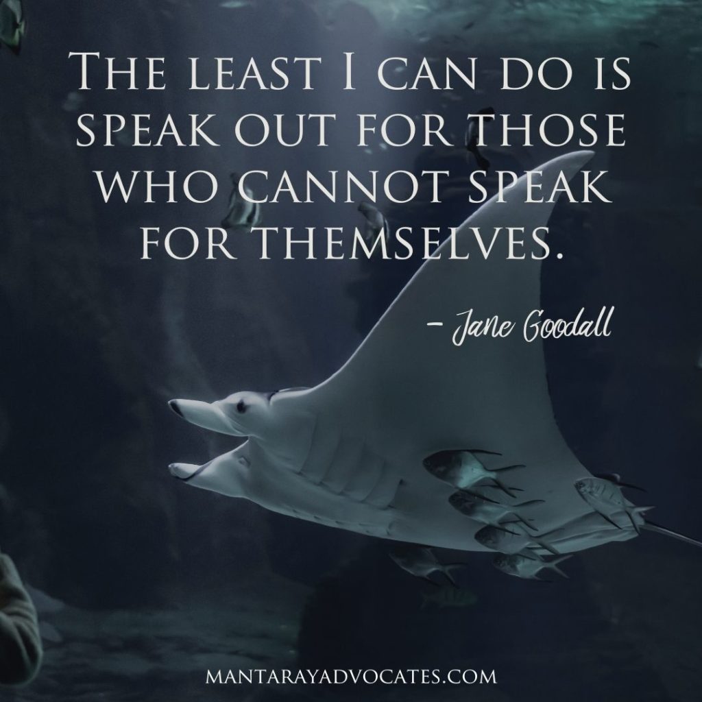 20 Quotes about Saving the Oceans - Manta Ray Advocates Hawaii