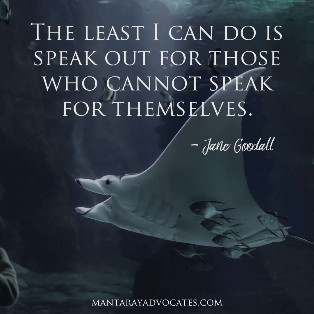 20 Quotes about Saving the Oceans - Manta Ray Advocates Hawaii