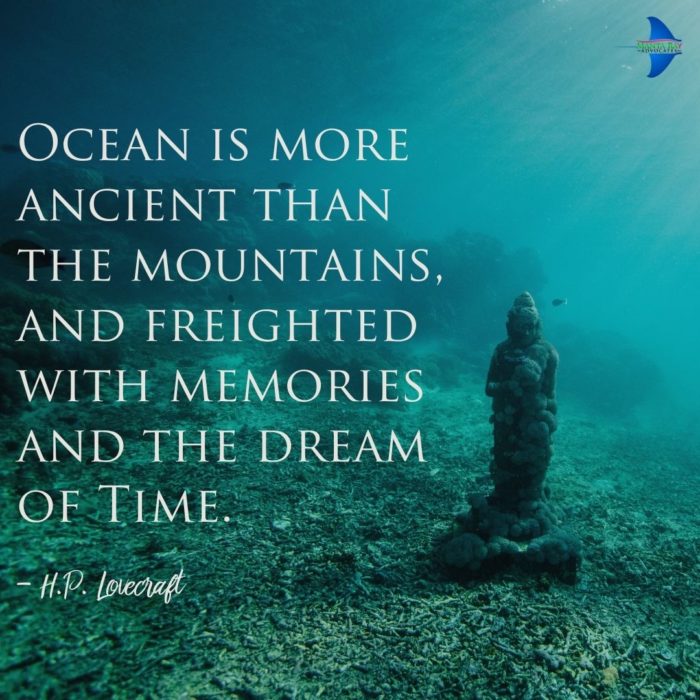 20 Quotes about Saving the Oceans - Manta Ray Advocates Hawaii
