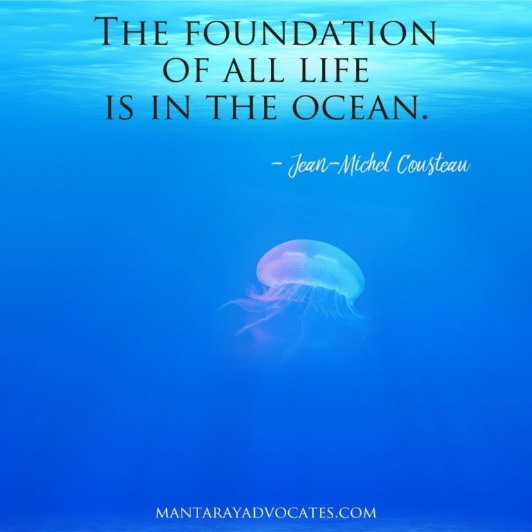 20 Quotes about Saving the Oceans - Manta Ray Advocates Hawaii