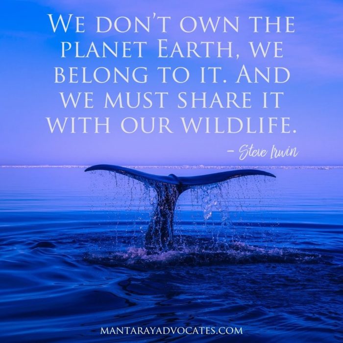 20 Quotes about Saving the Oceans - Manta Ray Advocates Hawaii