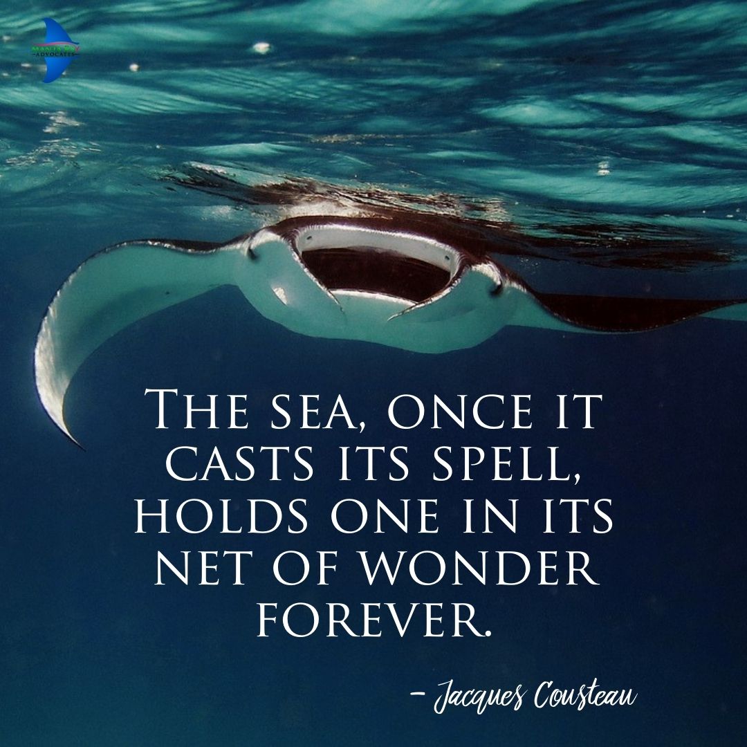 20 Quotes about Saving the Oceans - Manta Ray Advocates Hawaii