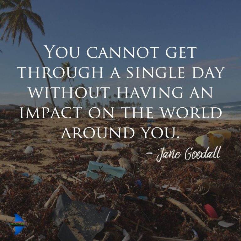 20 Quotes about Saving the Oceans - Manta Ray Advocates Hawaii