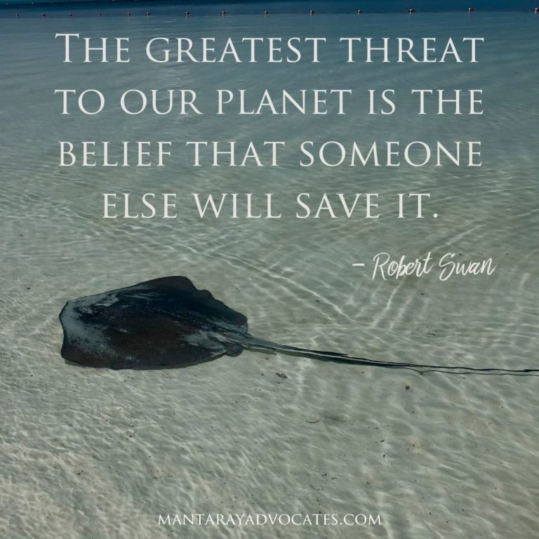 20 Quotes about Saving the Oceans - Manta Ray Advocates Hawaii