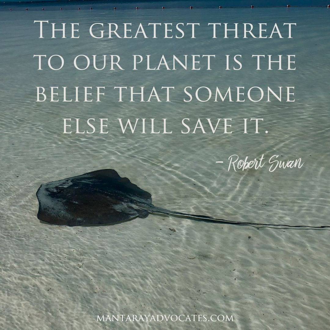 20 Quotes about Saving the Oceans - Manta Ray Advocates Hawaii