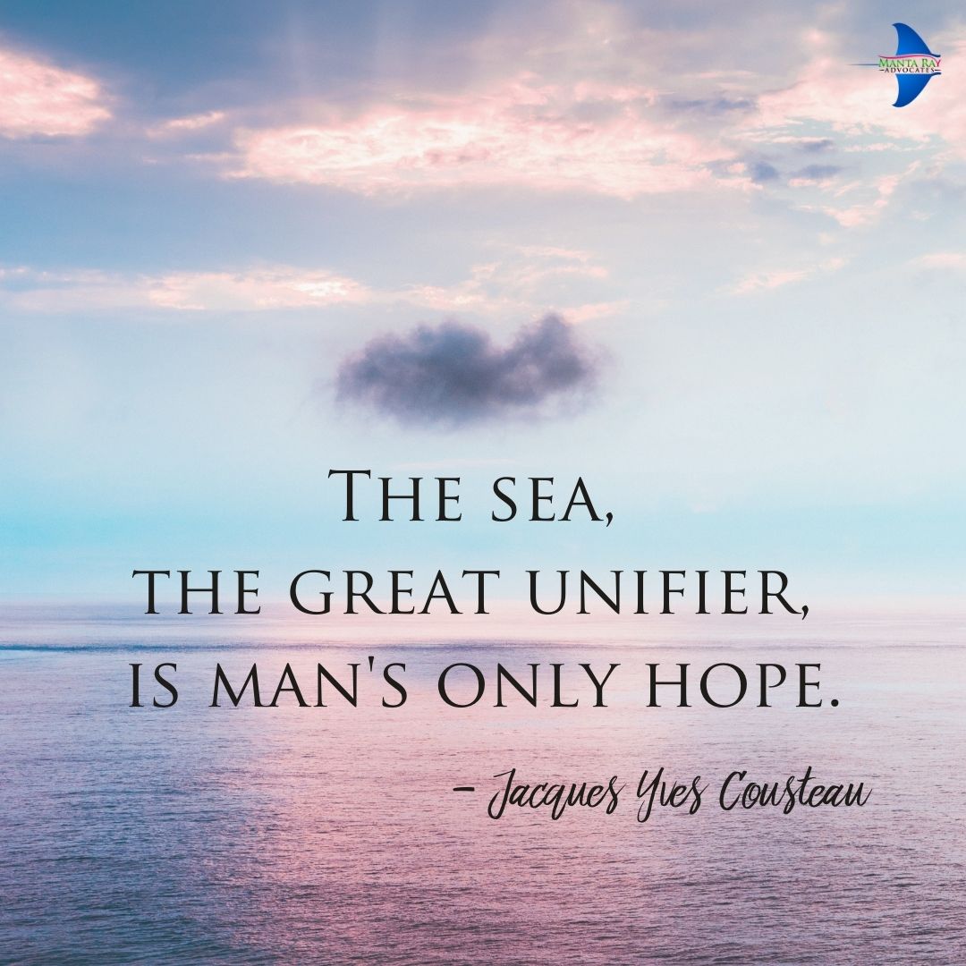 20 Quotes about Saving the Oceans - Manta Ray Advocates Hawaii