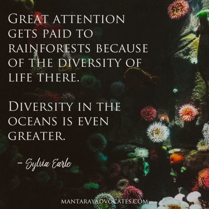 20 Quotes about Saving the Oceans - Manta Ray Advocates Hawaii