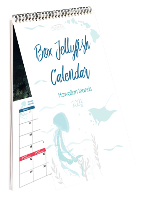 Box Jellyfish Wall Calendar - Manta Ray Advocates Hawaii