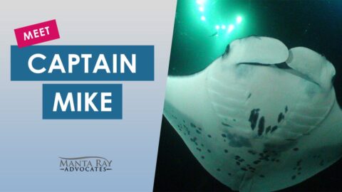 Capt. Mike aka Mike - Manta Ray Advocates Hawaii