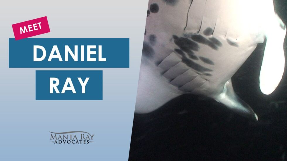 Daniel Ray - Manta Ray Advocates Hawaii