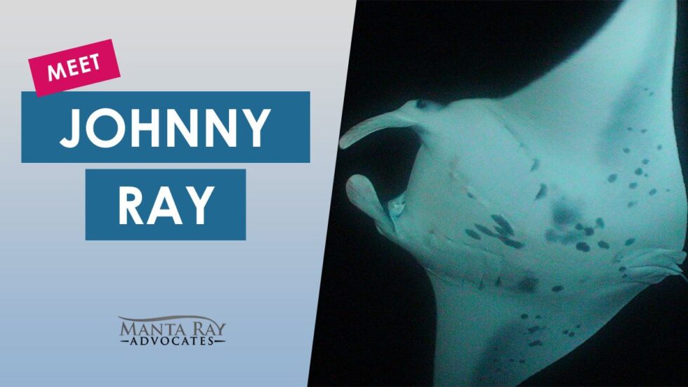 Johnny Ray - Manta Ray Advocates Hawaii