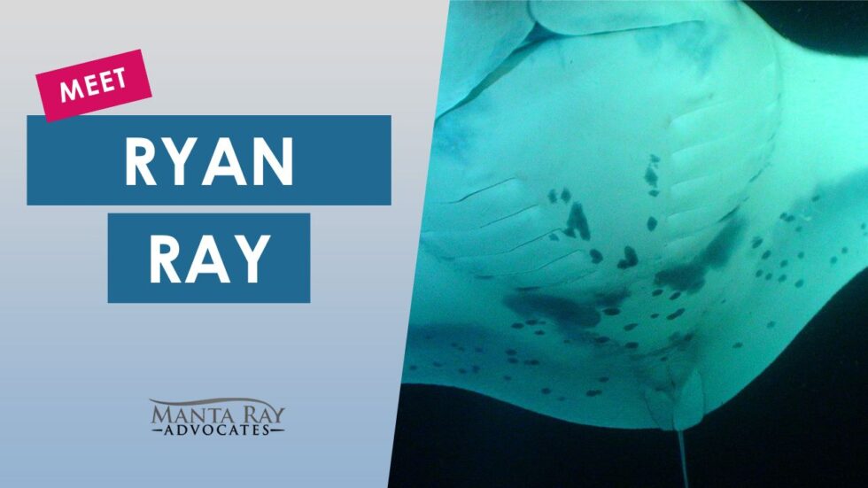 Ryan Ray - Manta Ray Advocates Hawaii
